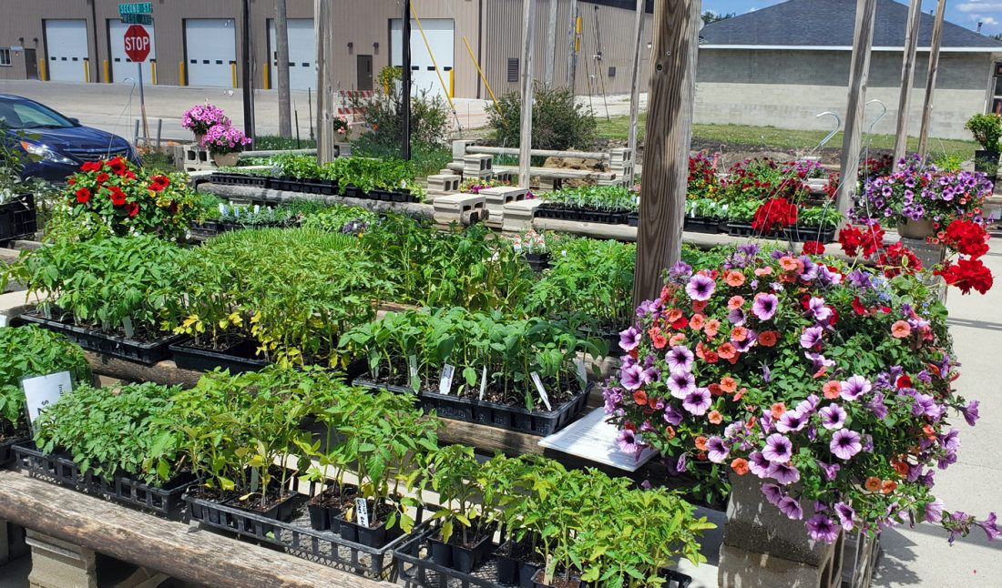 Fresh and green | News, Sports, Jobs - The Freeman Journal